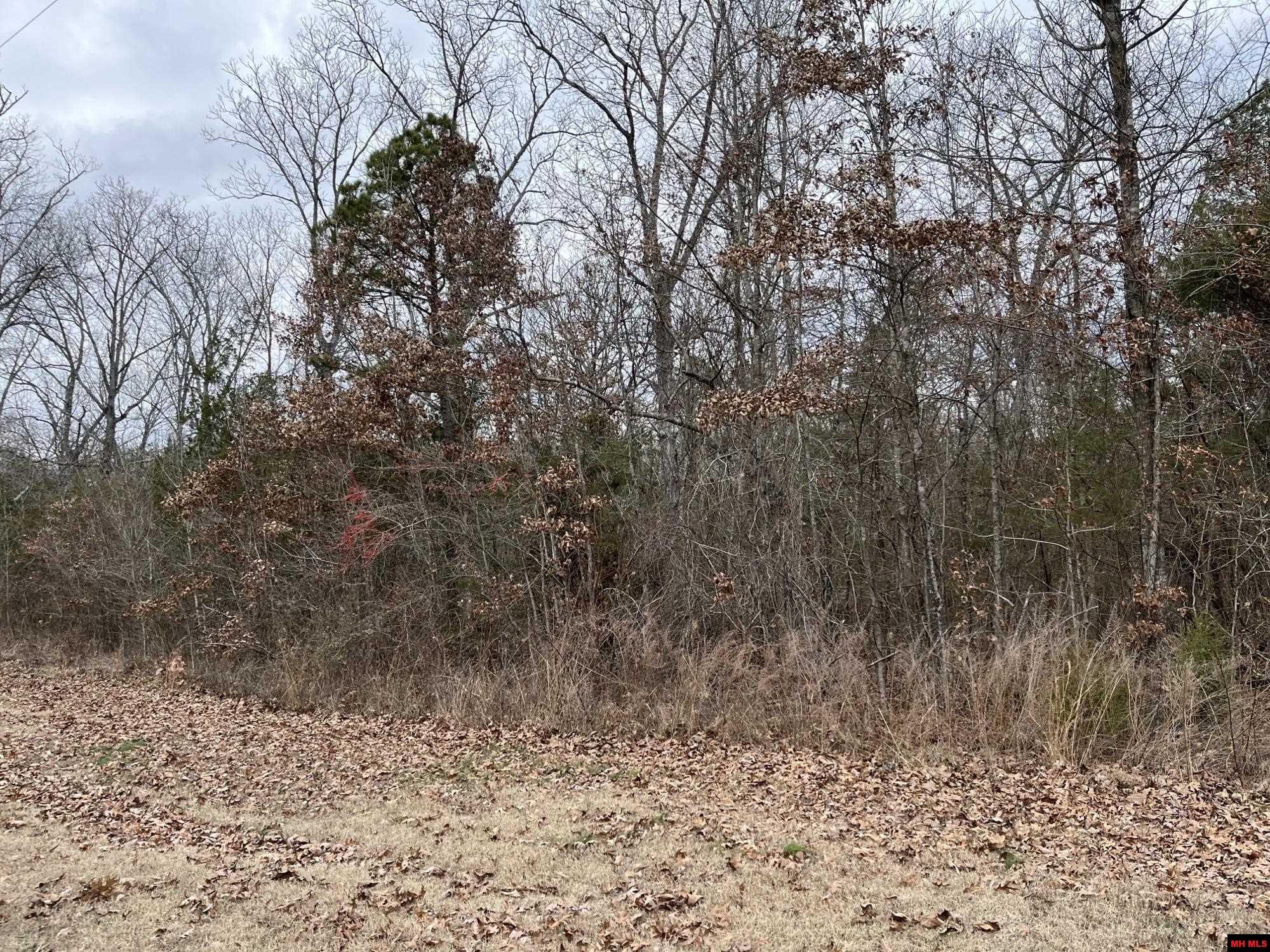 Lots 2 & 3 Sutton Drive, Locust Grove, AR 72550